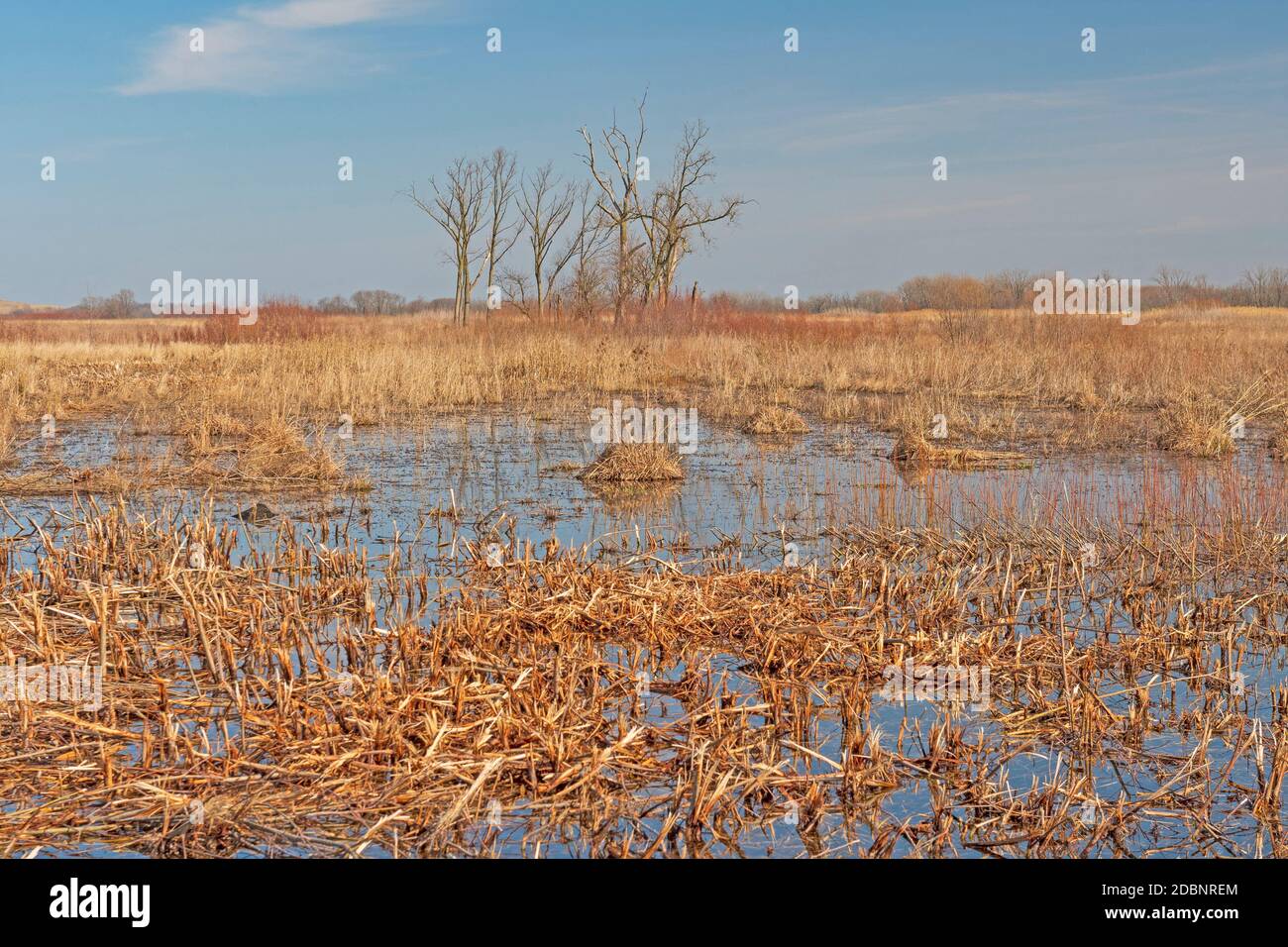 Midewin tallgrass prairie hi-res stock photography and images - Alamy
