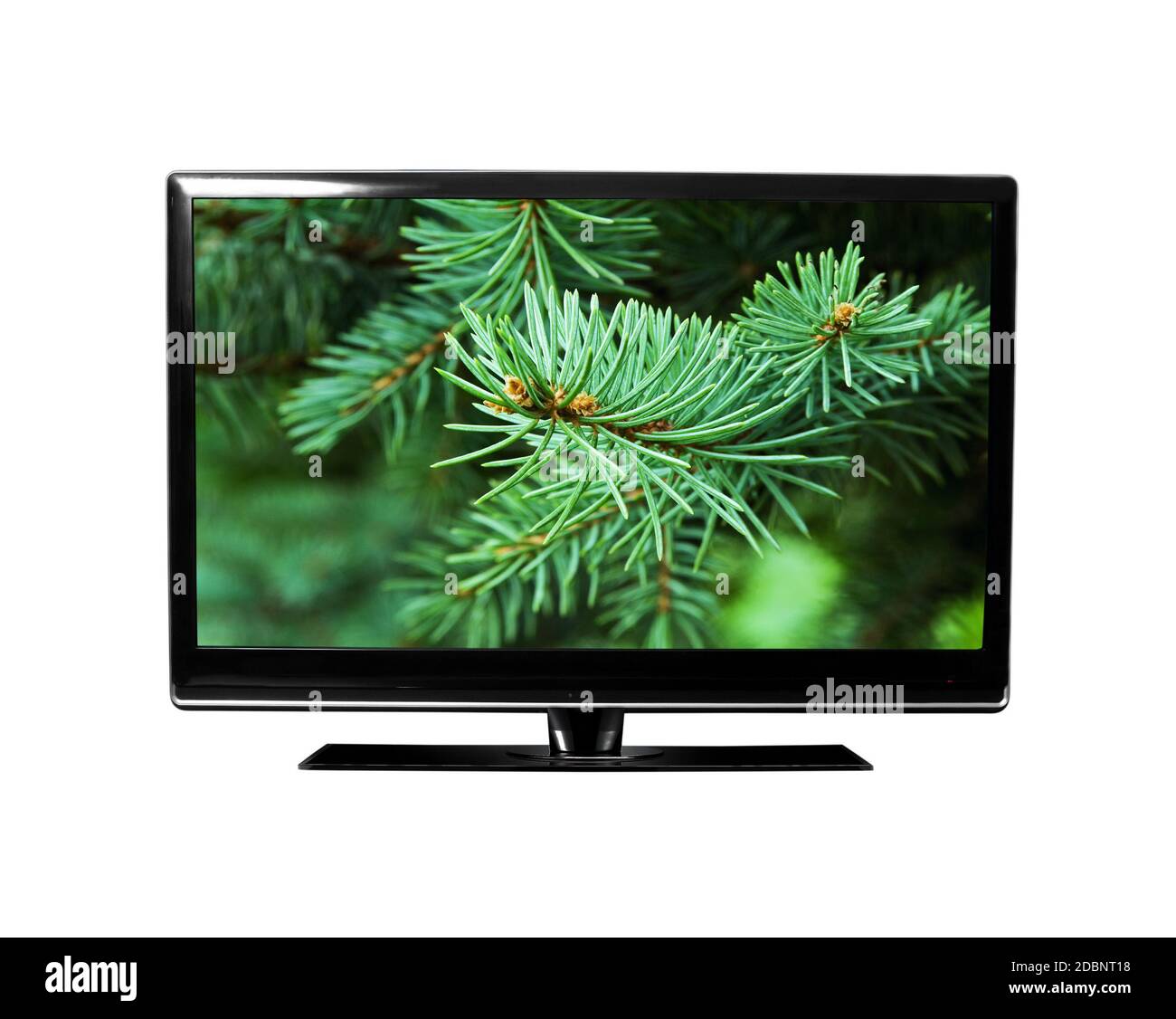 Display screen pine Cut Out Stock Images & Pictures - Alamy