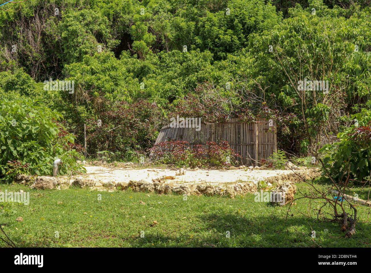 Old dilapidated bamboo fence in dense tropical vegetation on Bali ...
