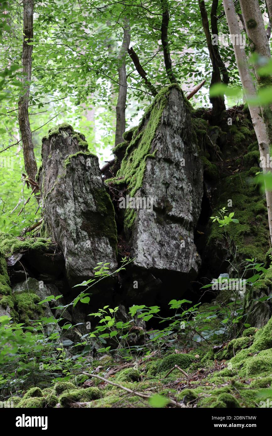 Big rocks in a forest Stock Photo - Alamy