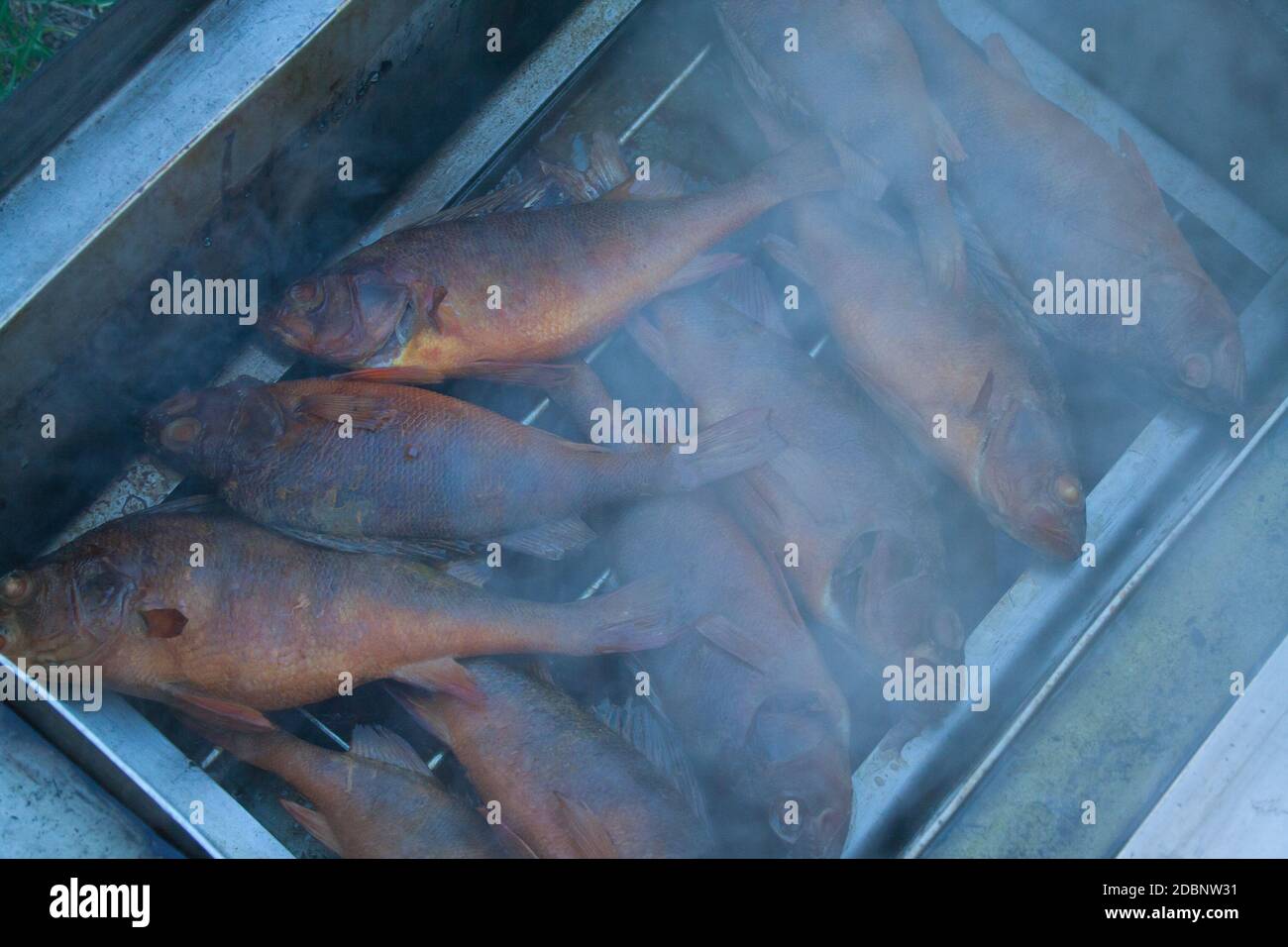 Fish smoking in smokehoude. Hot fish with steam Stock Photo - Alamy