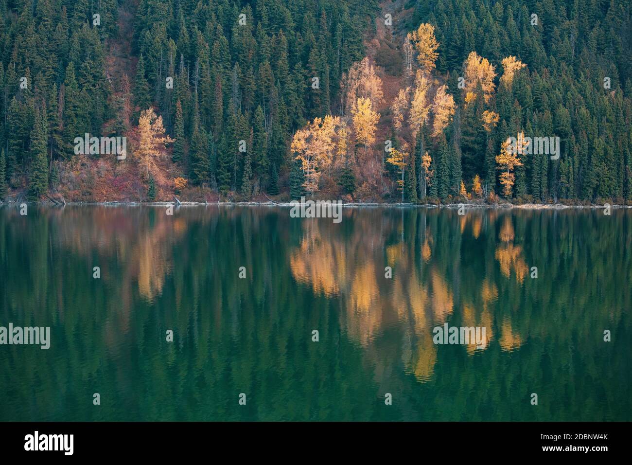 Duffey Lake Provincial Park High Resolution Stock Photography and ...
