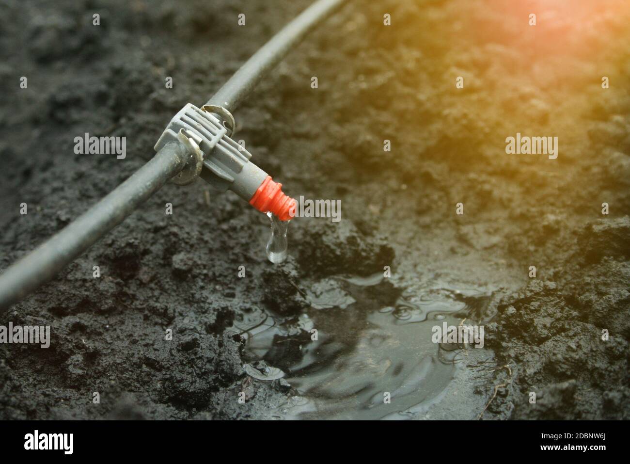 Dripping system hi-res stock photography and images - Alamy