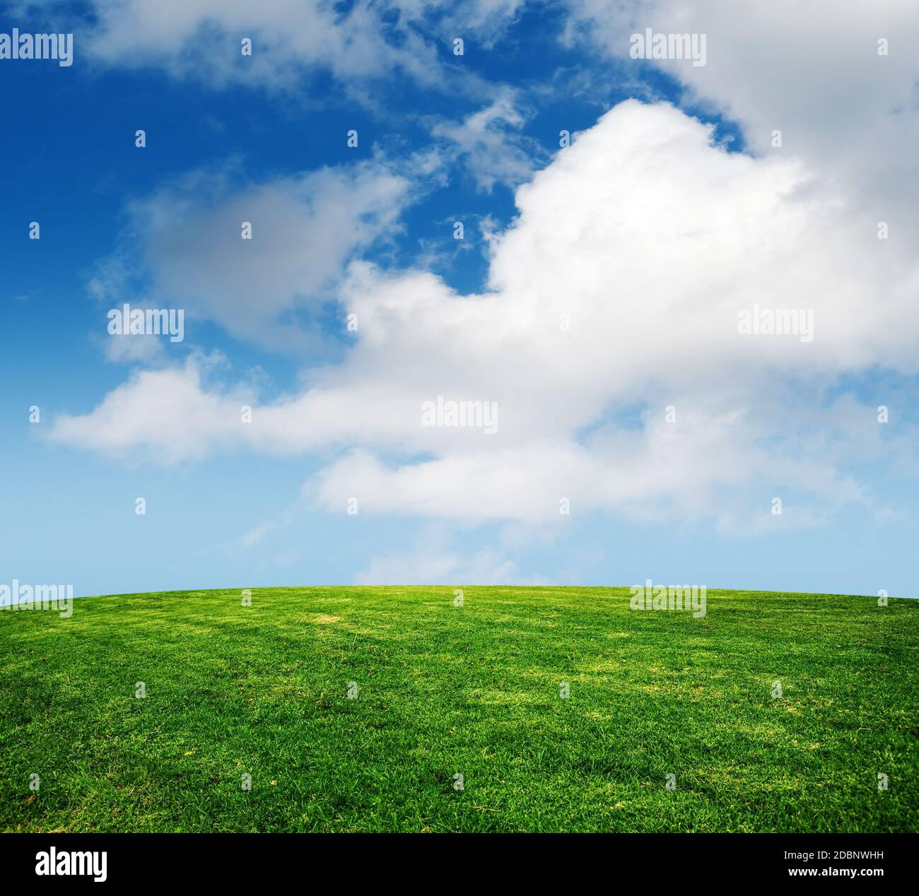 summer grass lawn with sky Stock Photo - Alamy