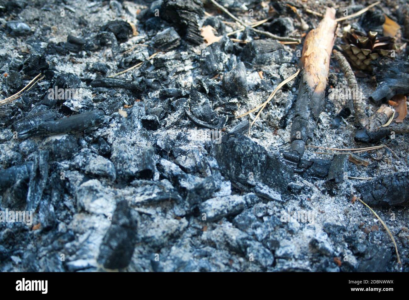 Closeup ashes after fire hi-res stock photography and images - Alamy