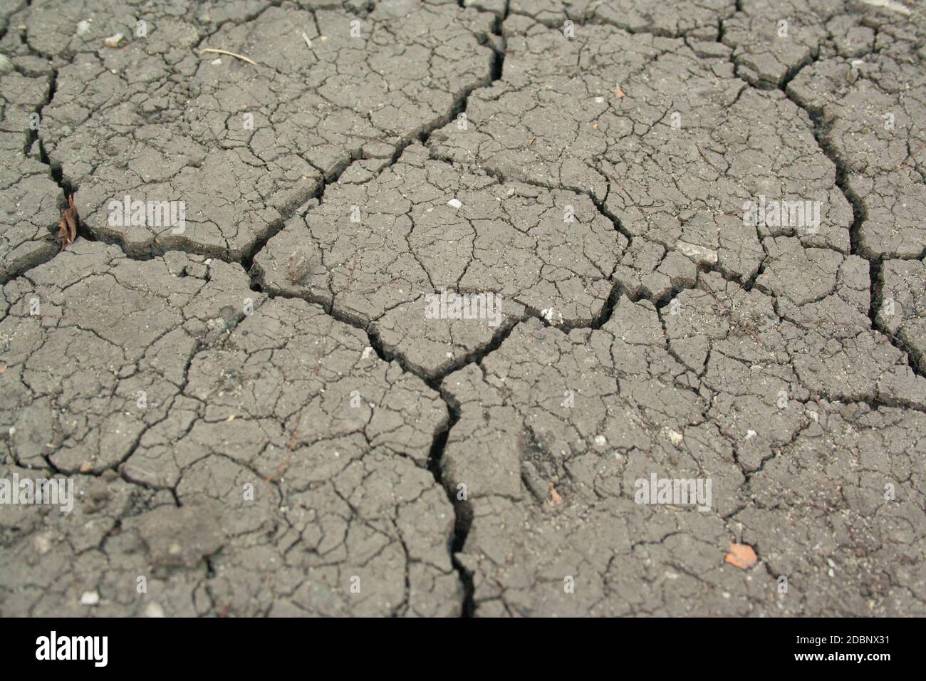 Dry cracked ground texture. Cracked surface of mud Stock Photo - Alamy