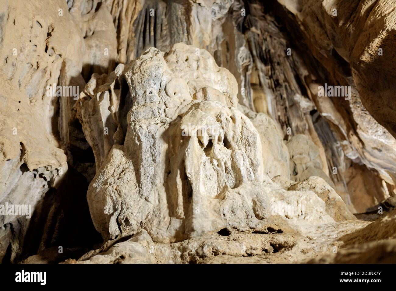 The calcite in the mineral water creates castings and stalactites ...