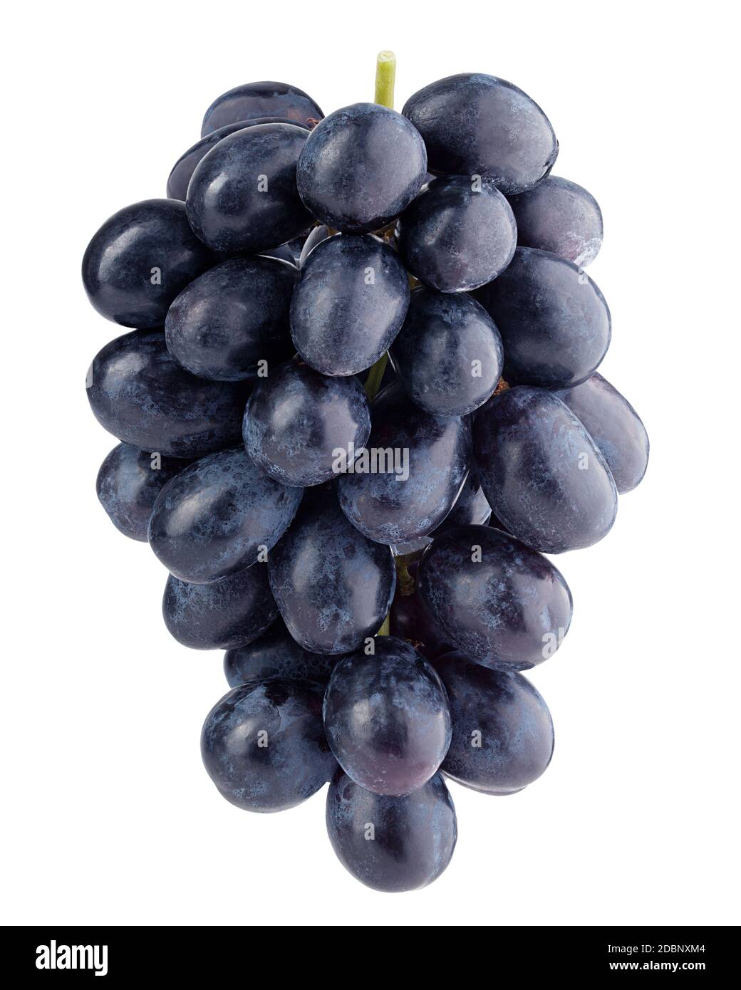 purple grape, isolated on white background, clipping path, full depth ...