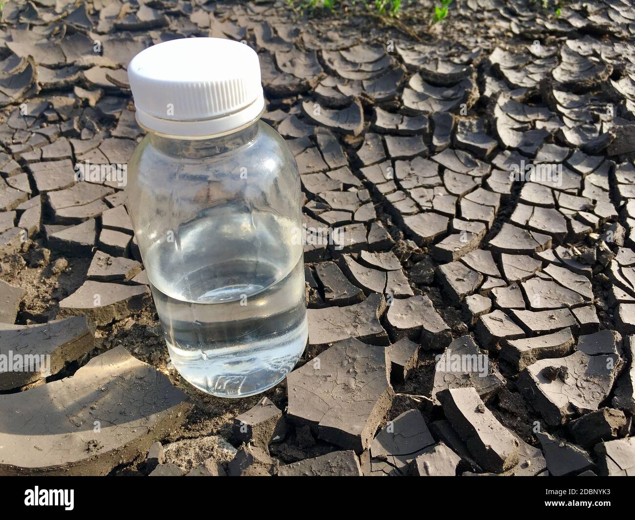 Bottle with water on dry ground at hot, arid day. Water deficit concept ...