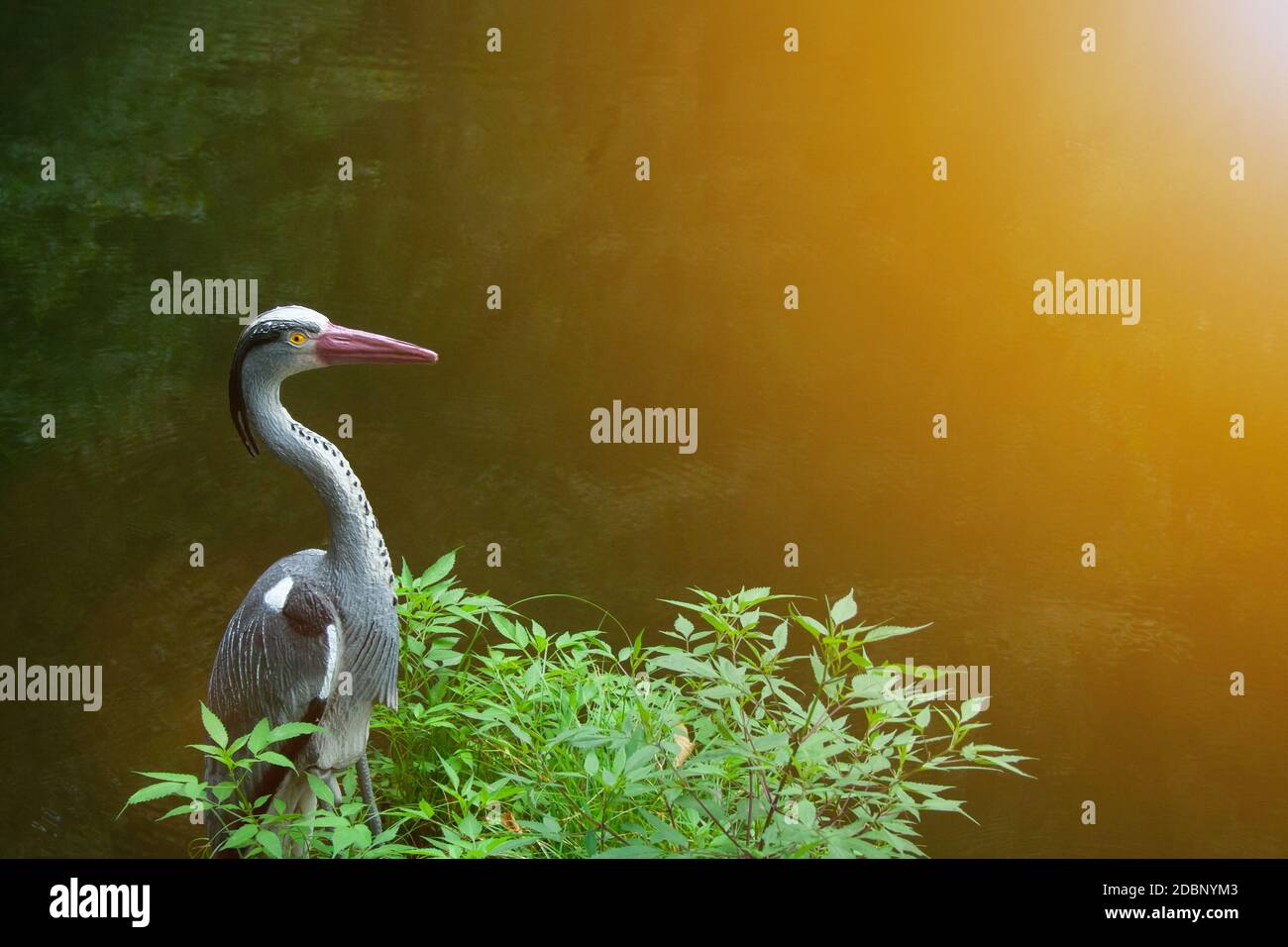 Artificial stork nest hi-res stock photography and images - Alamy