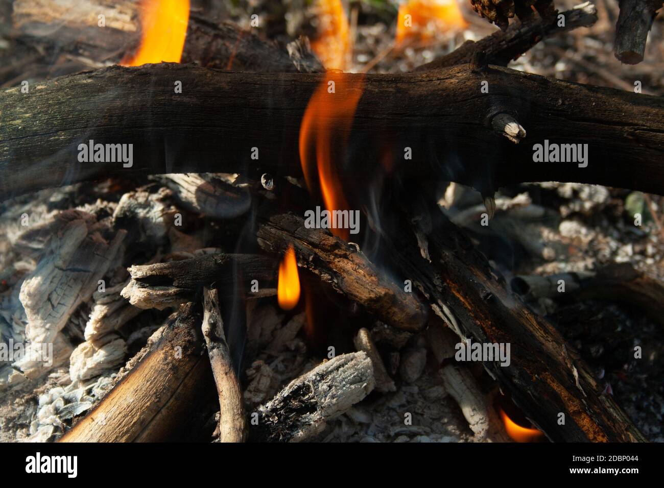 Fire, coals and ash close-up. Bonfire in the afternoon Stock Photo - Alamy
