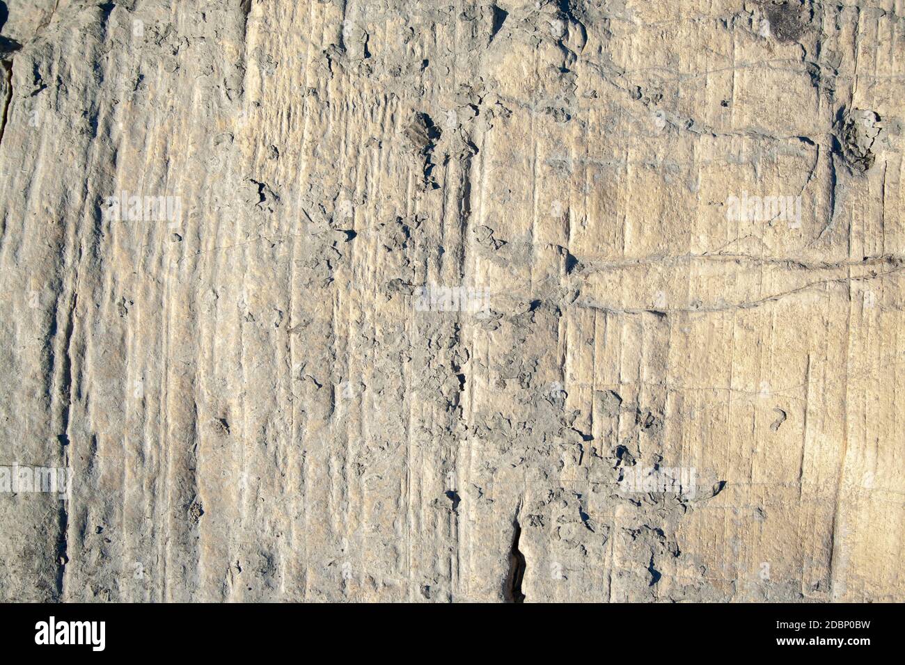 Stone texture close-up. Old aged stone surface on sun background Stock ...