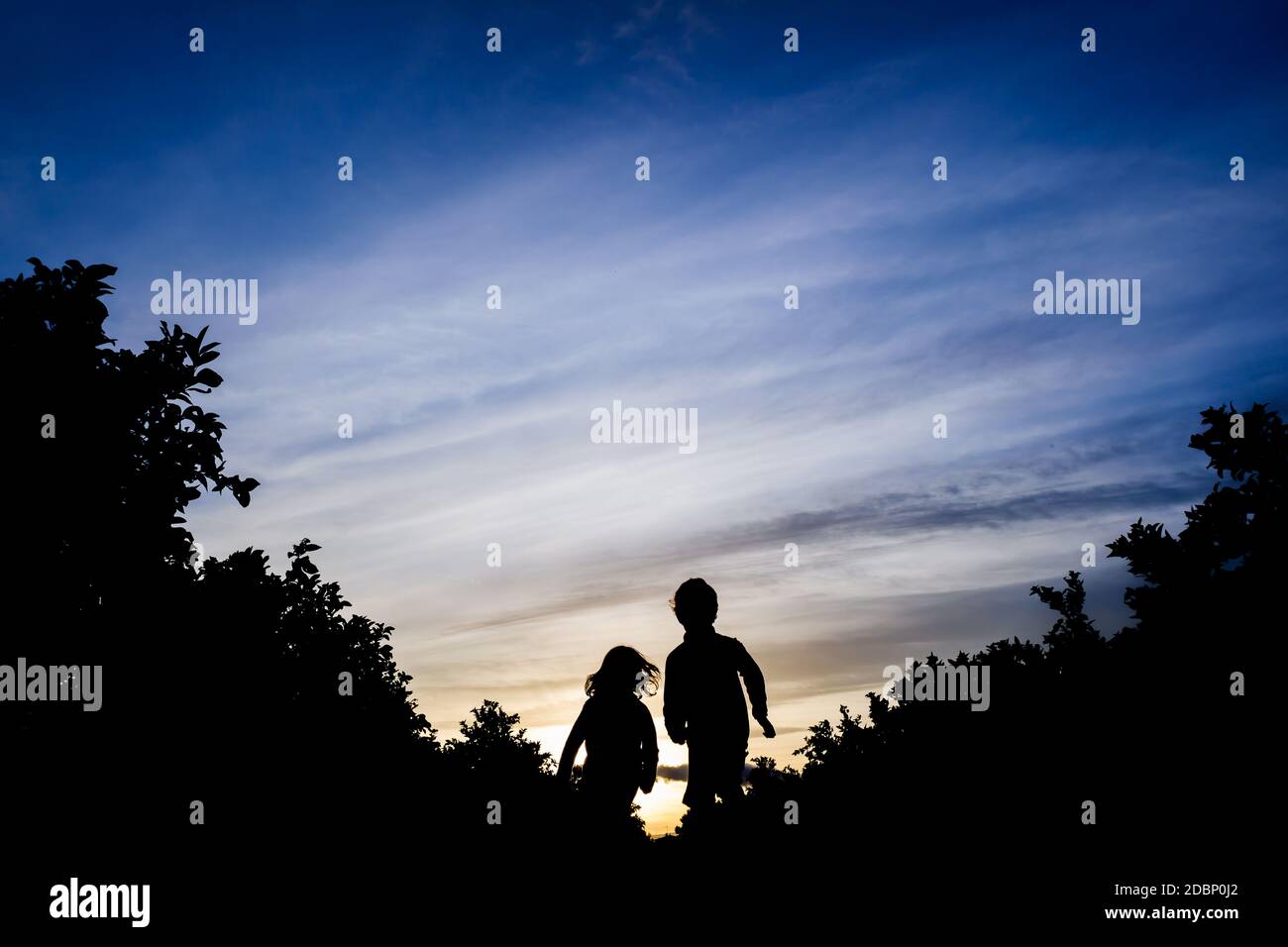 Two brothers run together through a field between trees, at sunset in ...