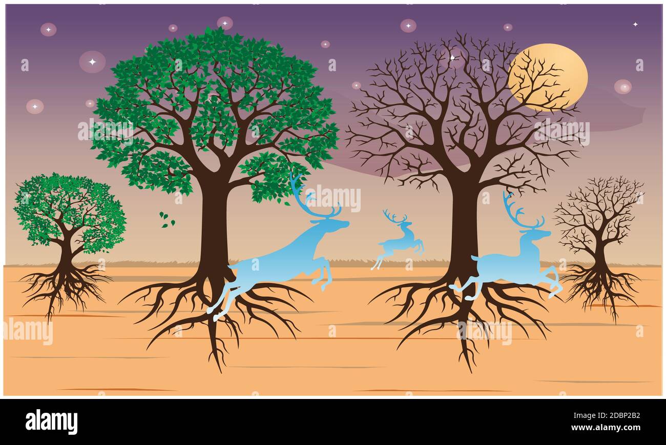 Trunk leaves dry tree in Cut Out Stock Images & Pictures - Alamy