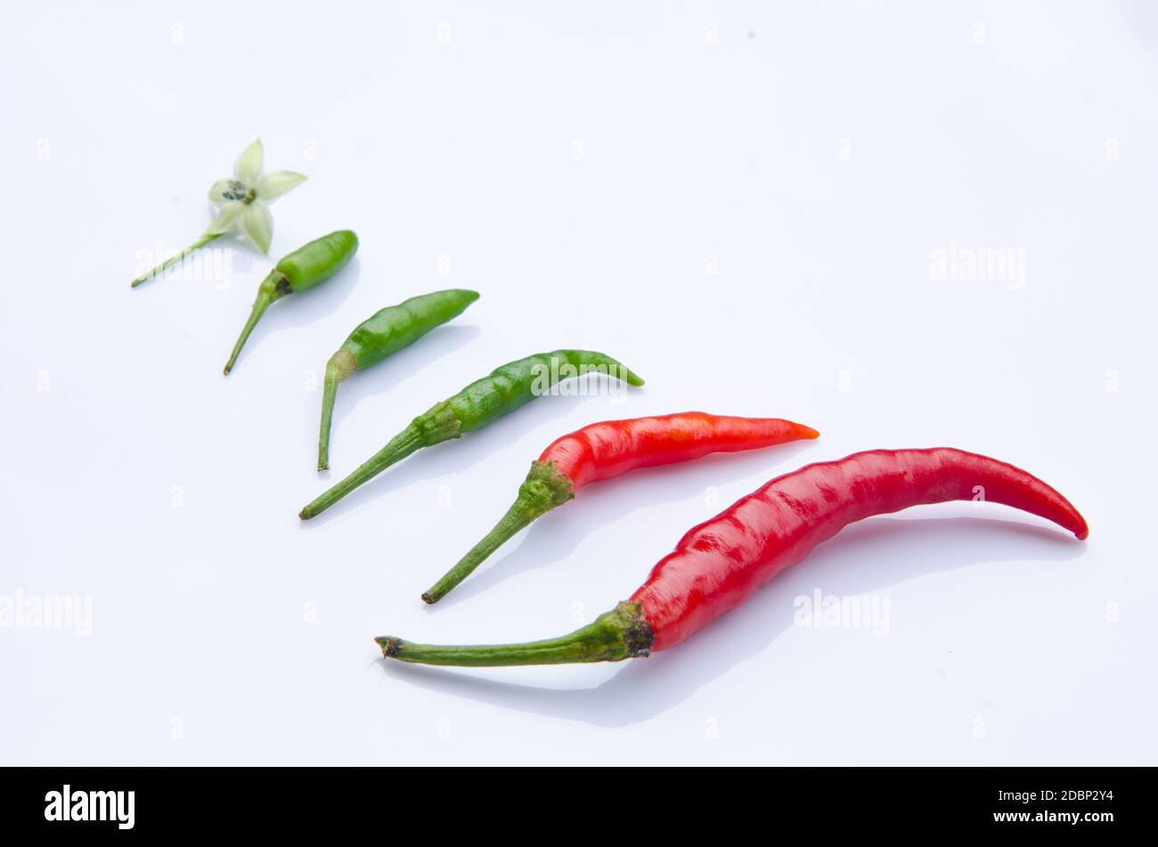 Growing up step by step Stock Photo - Alamy