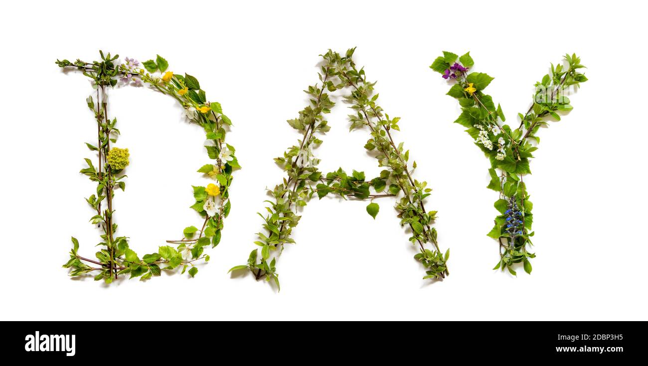 Flower, Branches And Blossom Letter Building English Word Day. White ...