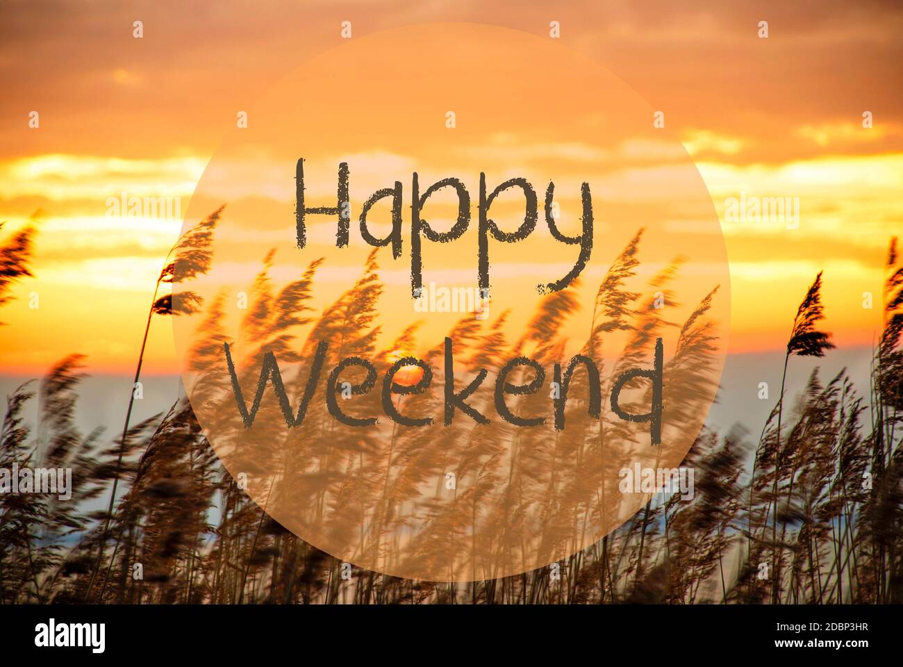 English Text Happy Weekend. Beach Grass At Sunrise Or Sunset In ...