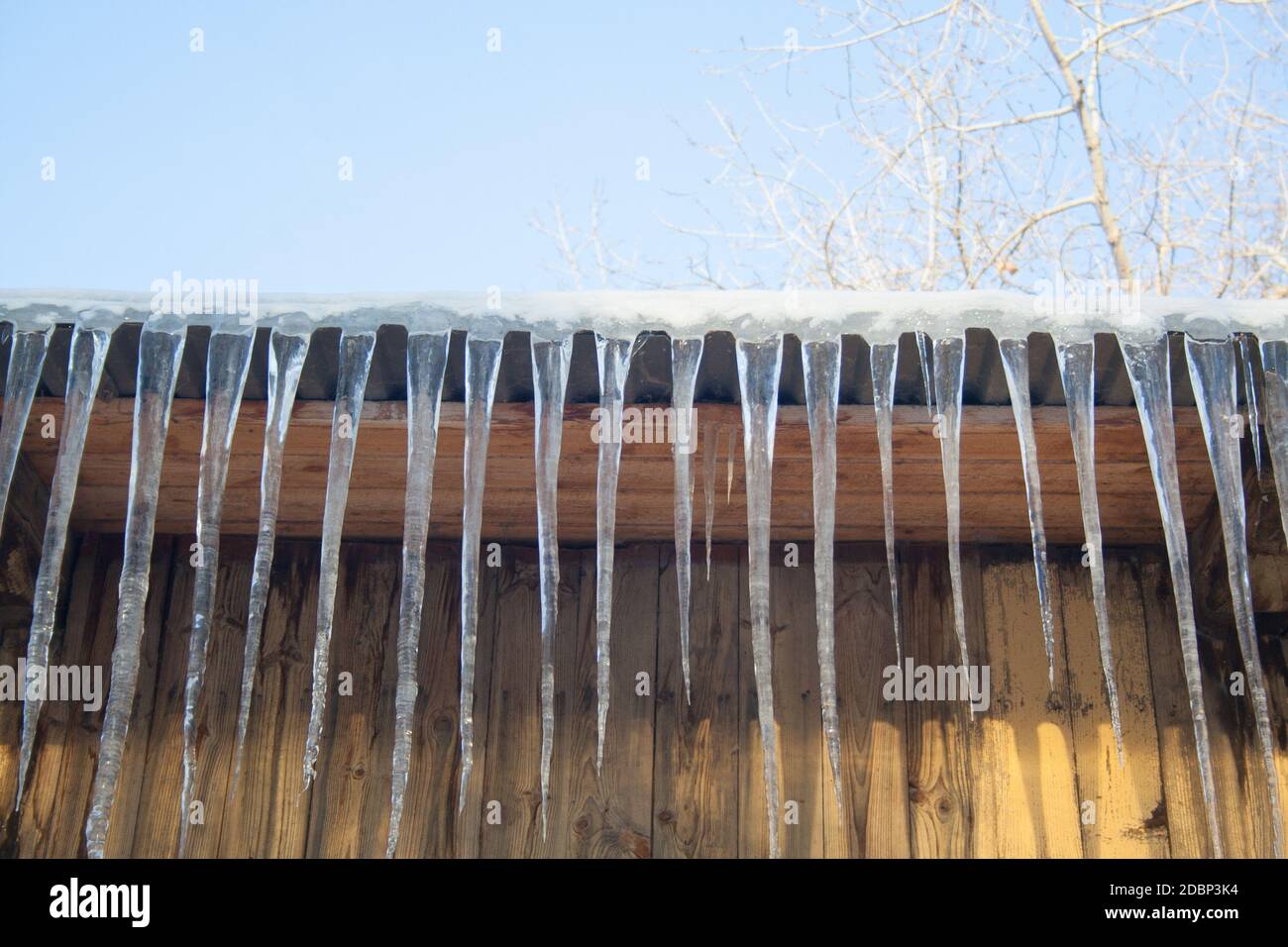 Hanging Icicles at wooden roof. Winter dangerous. Fall icicles Stock ...