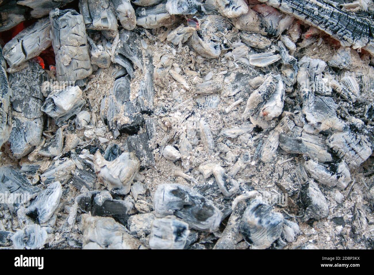 Fire, coals and ash close-up. Bonfire in the afternoon Stock Photo - Alamy