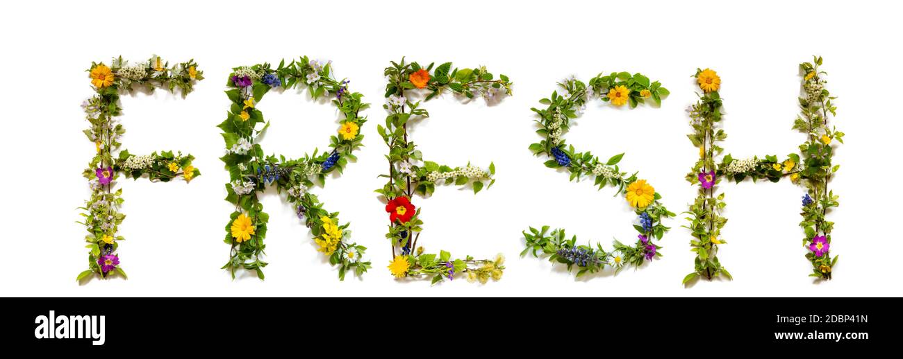 Flower, Branches And Blossom Letter Building English Word Fresh. White ...