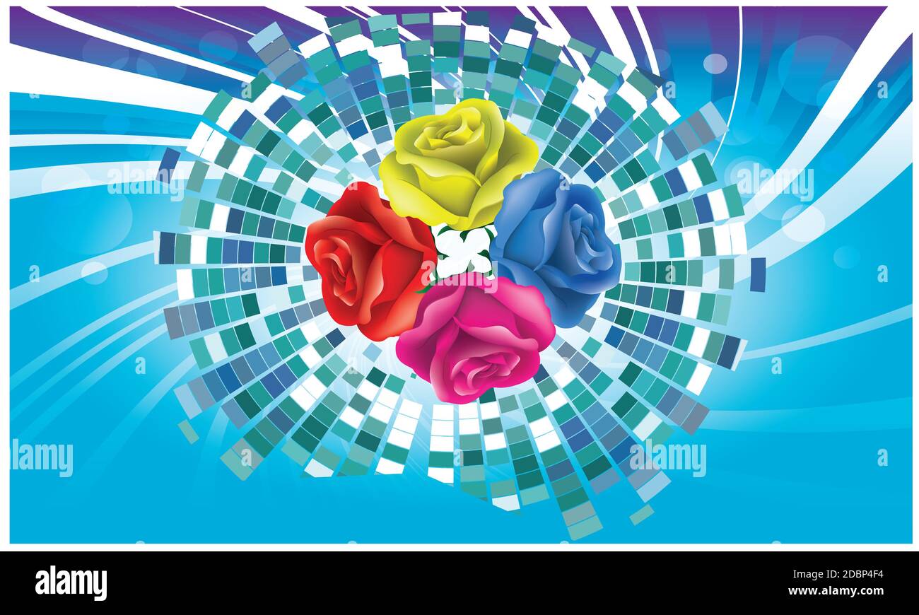 Roses of the square hi-res stock photography and images - Alamy