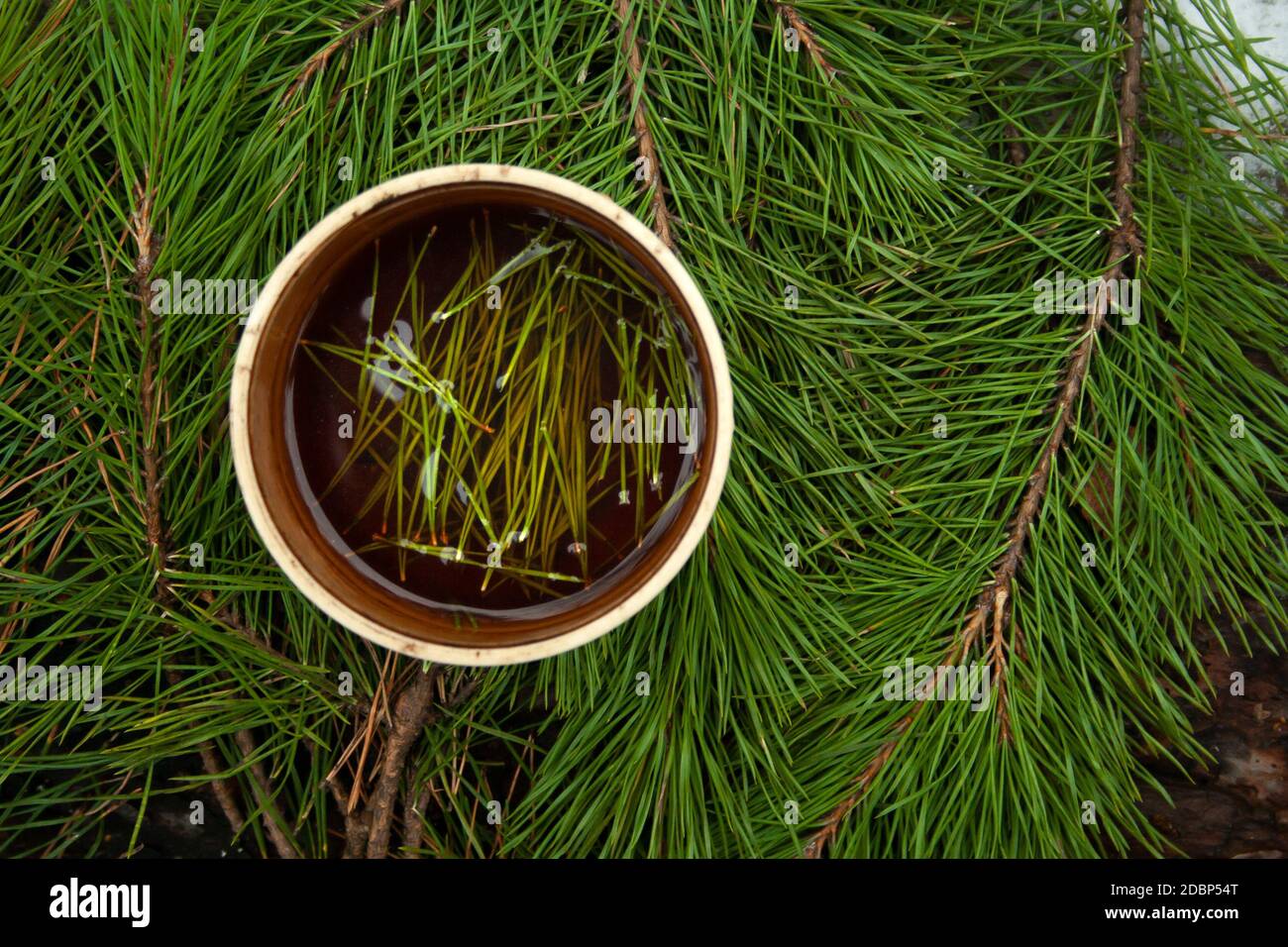 Cup of black tea with pine tree needles in it on green needles ...