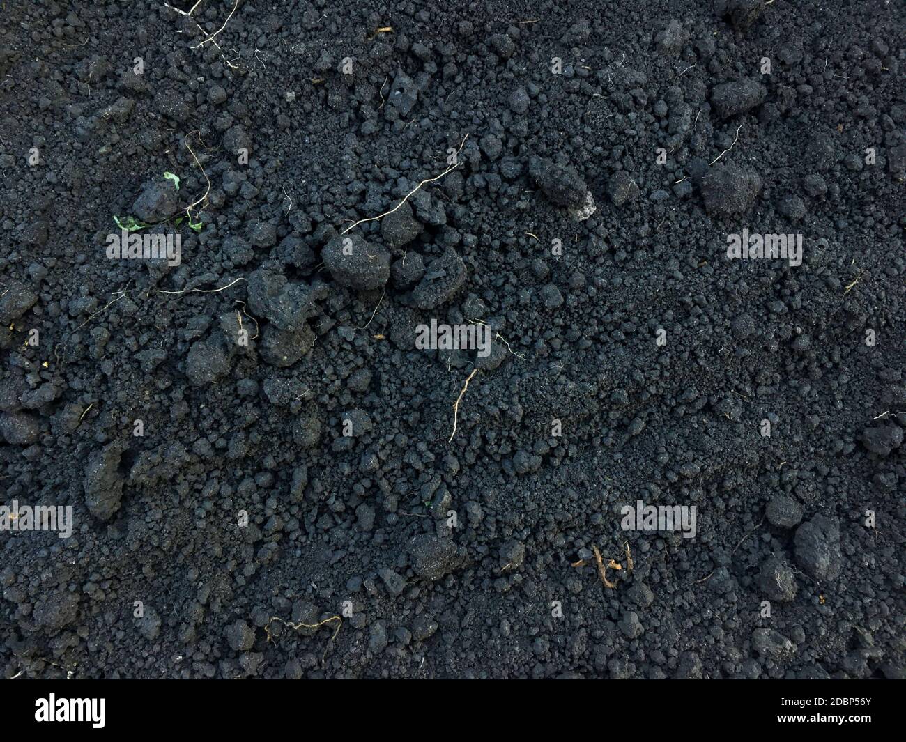 texture ground. The structure of the soil close up. Dig the earth ...