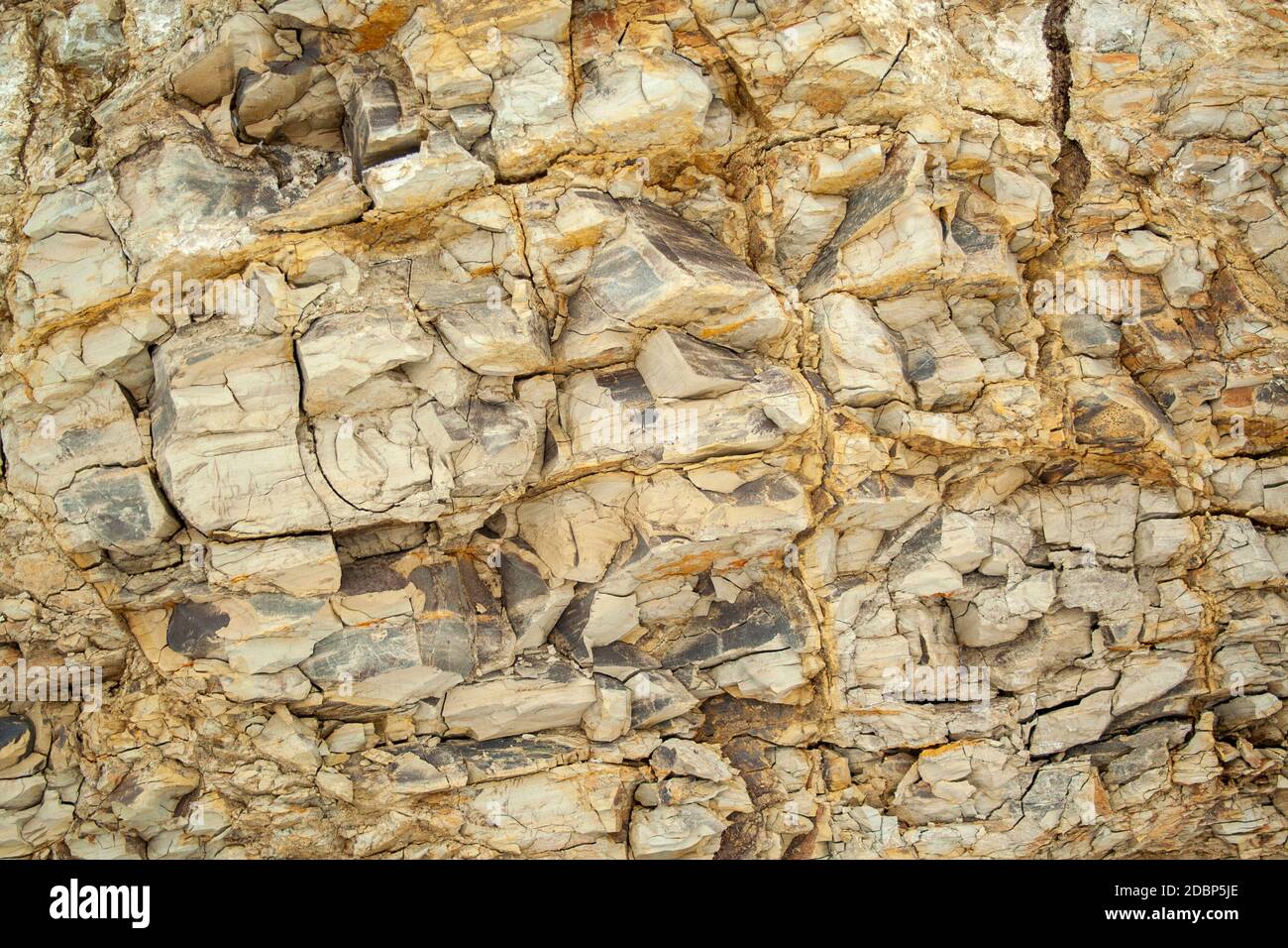 Surface Textures Mud Clay Mud Texture Or Wet Black Soil As Natural
