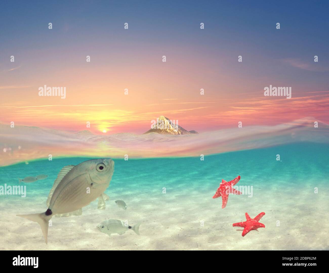 sunset at turquoise ocean with underwater view, Tropical sea with ...