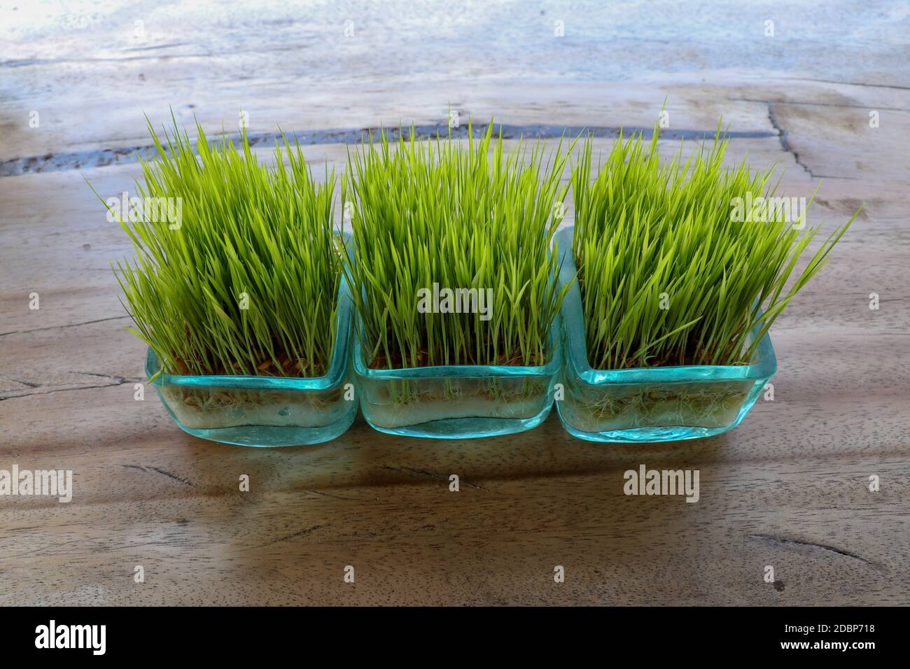 Ri long hi-res stock photography and images - Alamy