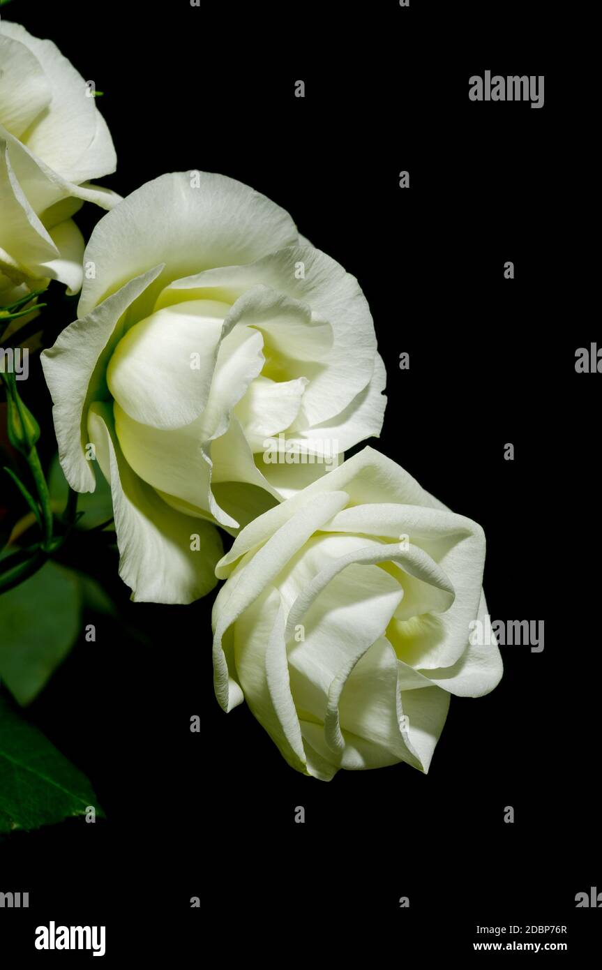 Addition colours hi-res stock photography and images - Alamy