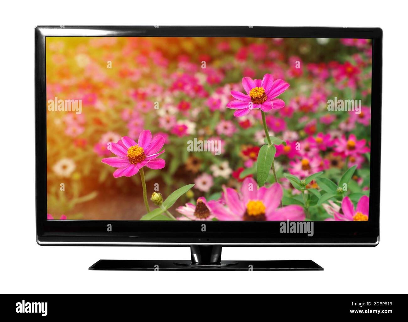 tv with the flowers on white Stock Photo - Alamy