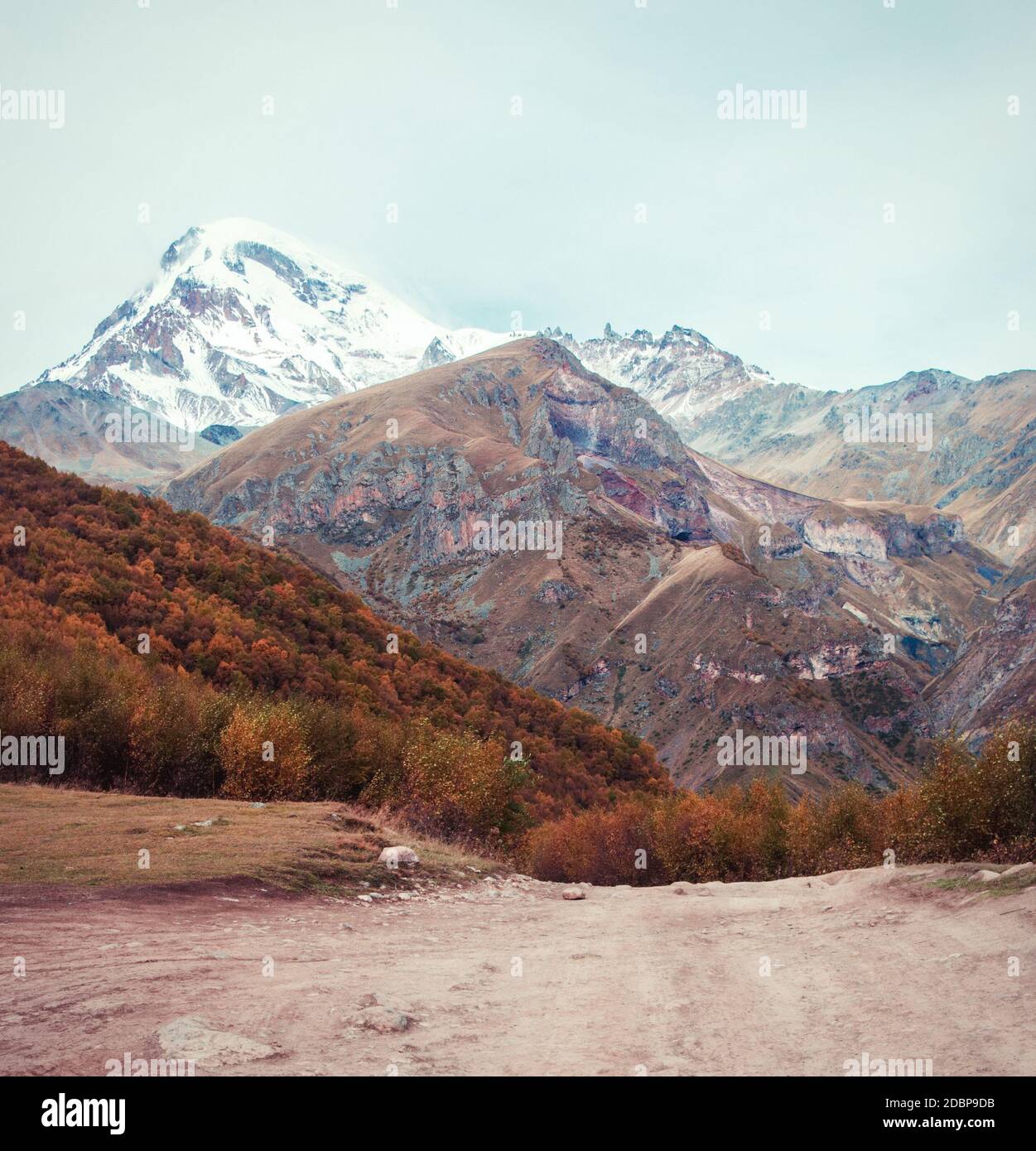 Georgie hill hi-res stock photography and images - Alamy