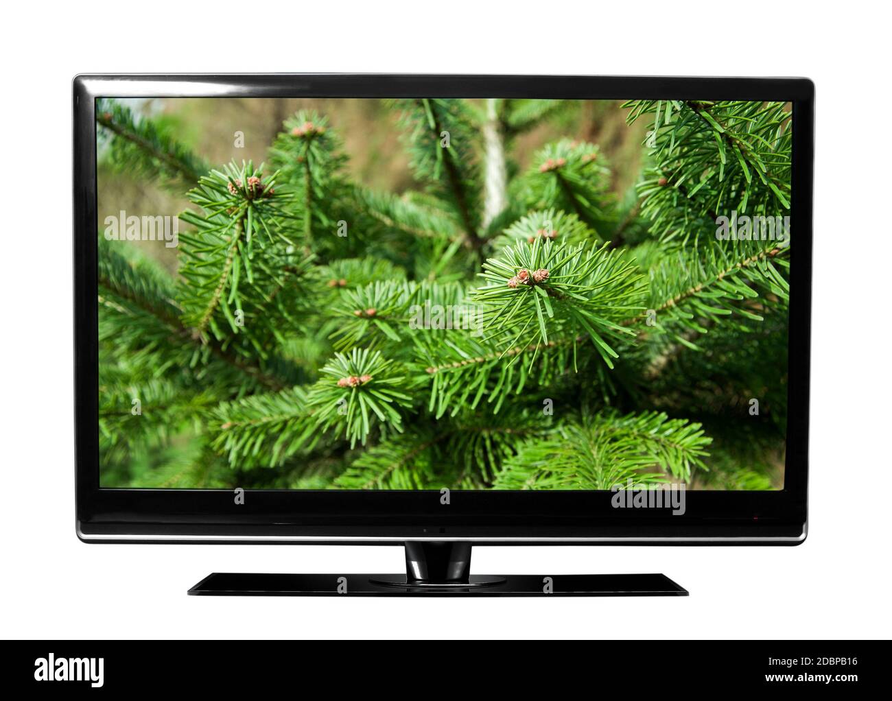 tv screen with the pine picture Stock Photo - Alamy
