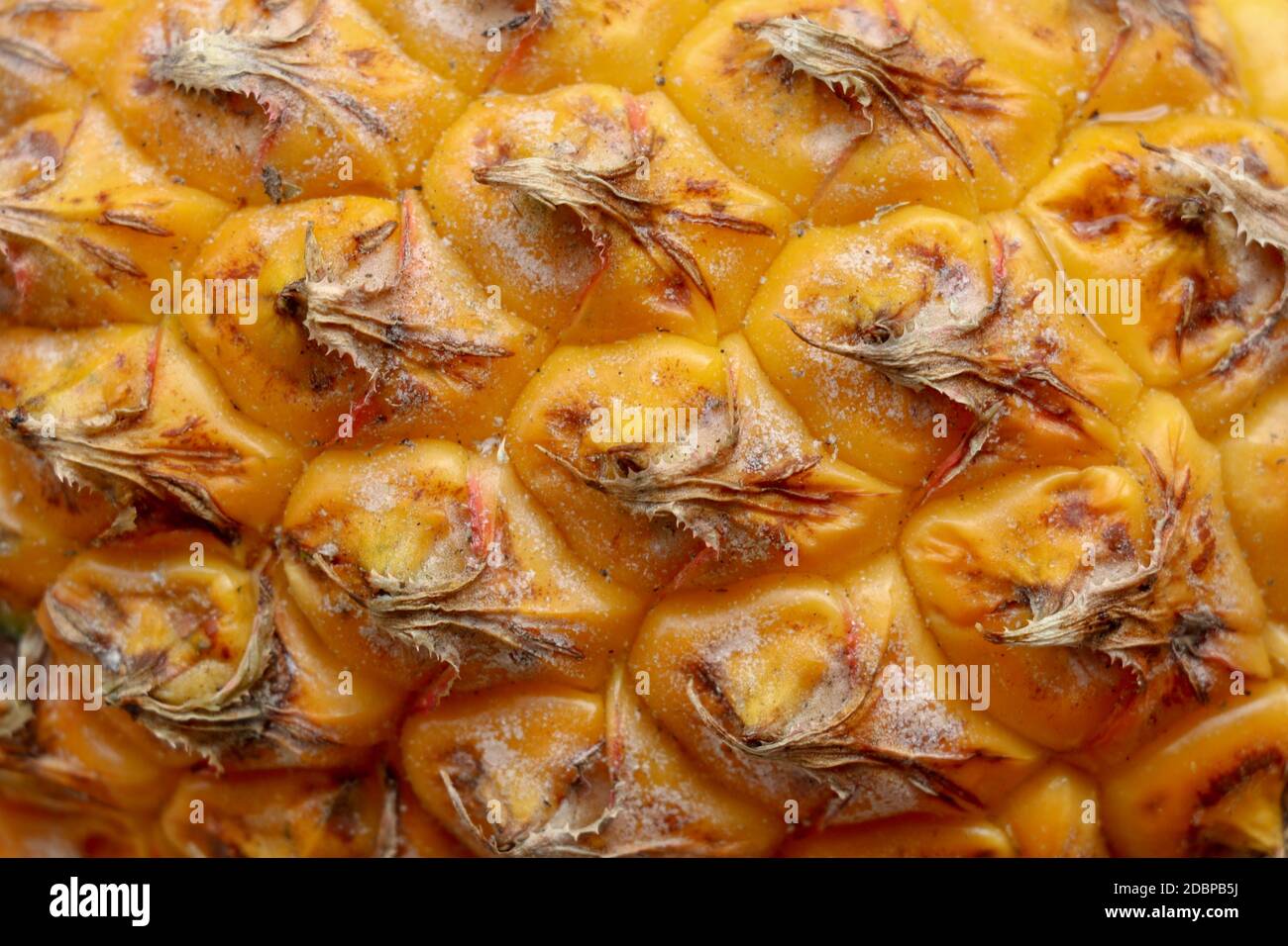 Close-up of skin of ripe pineapple. Fresh pineapple texture. Abstract ...