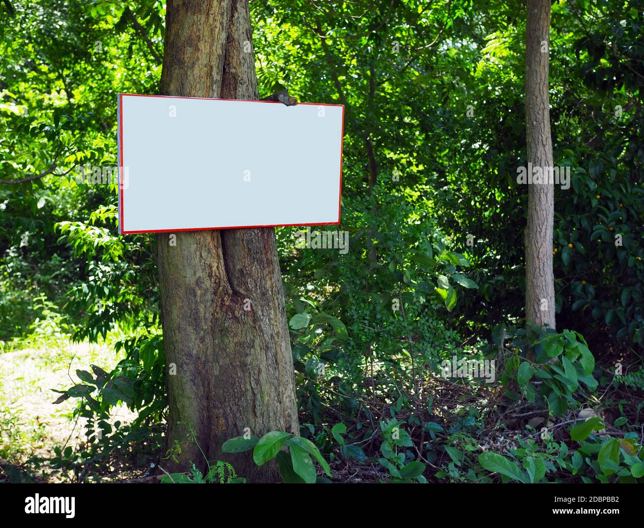 Wooden billboard advertising in hi-res stock photography and images - Alamy
