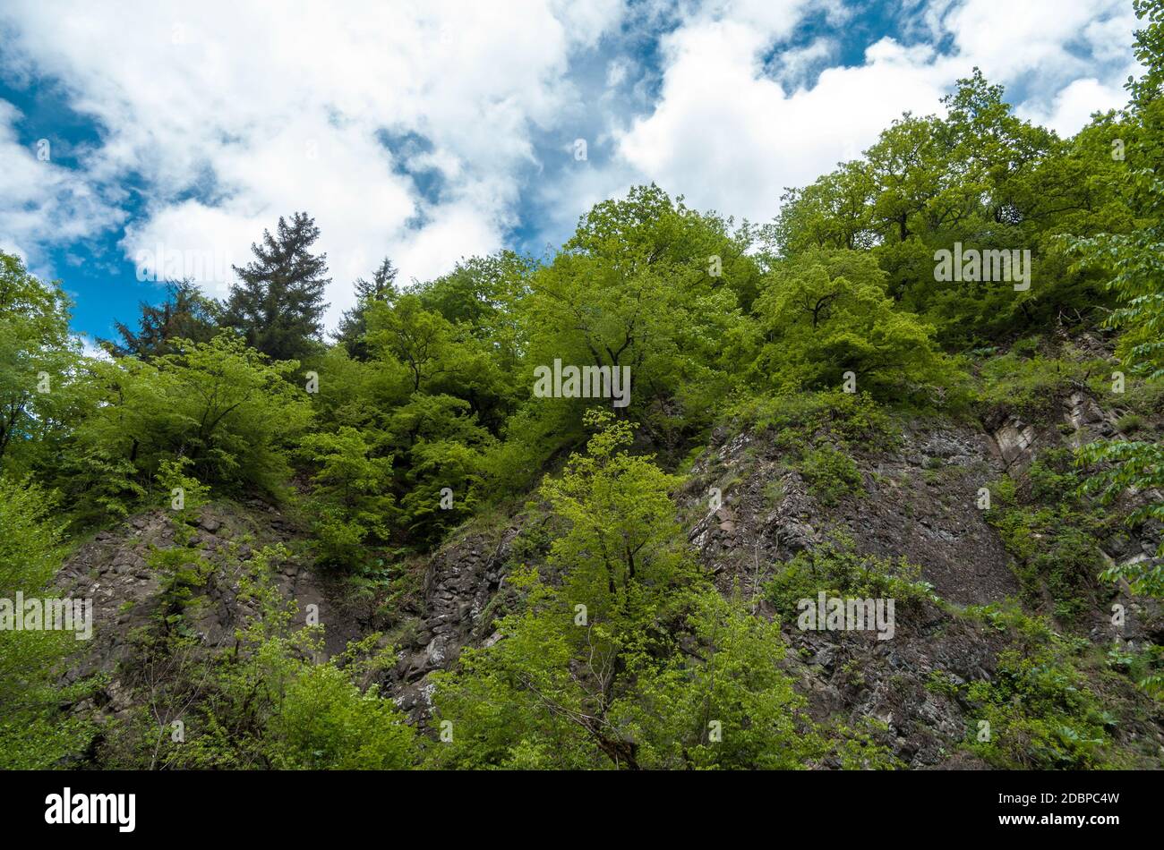 Beautiful Georgian landscape in summer. Georgia, Caucasus Stock Photo ...