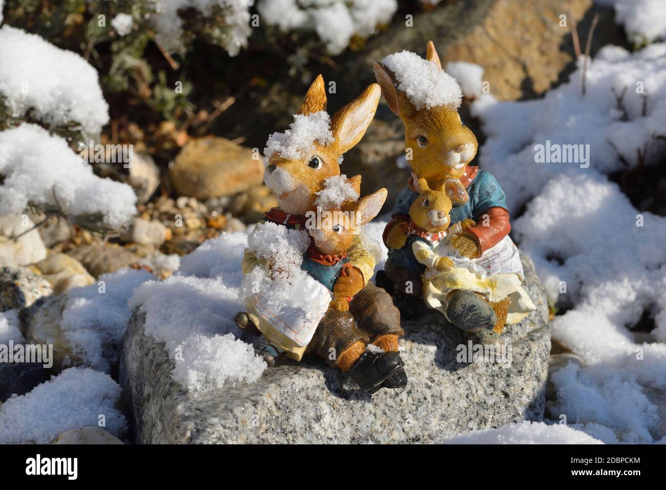 Cute bunny snow hi-res stock photography and images - Alamy