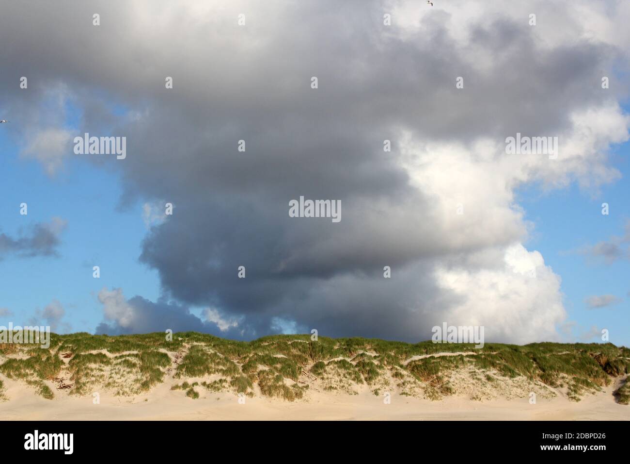 Grey dunes hi-res stock photography and images - Alamy