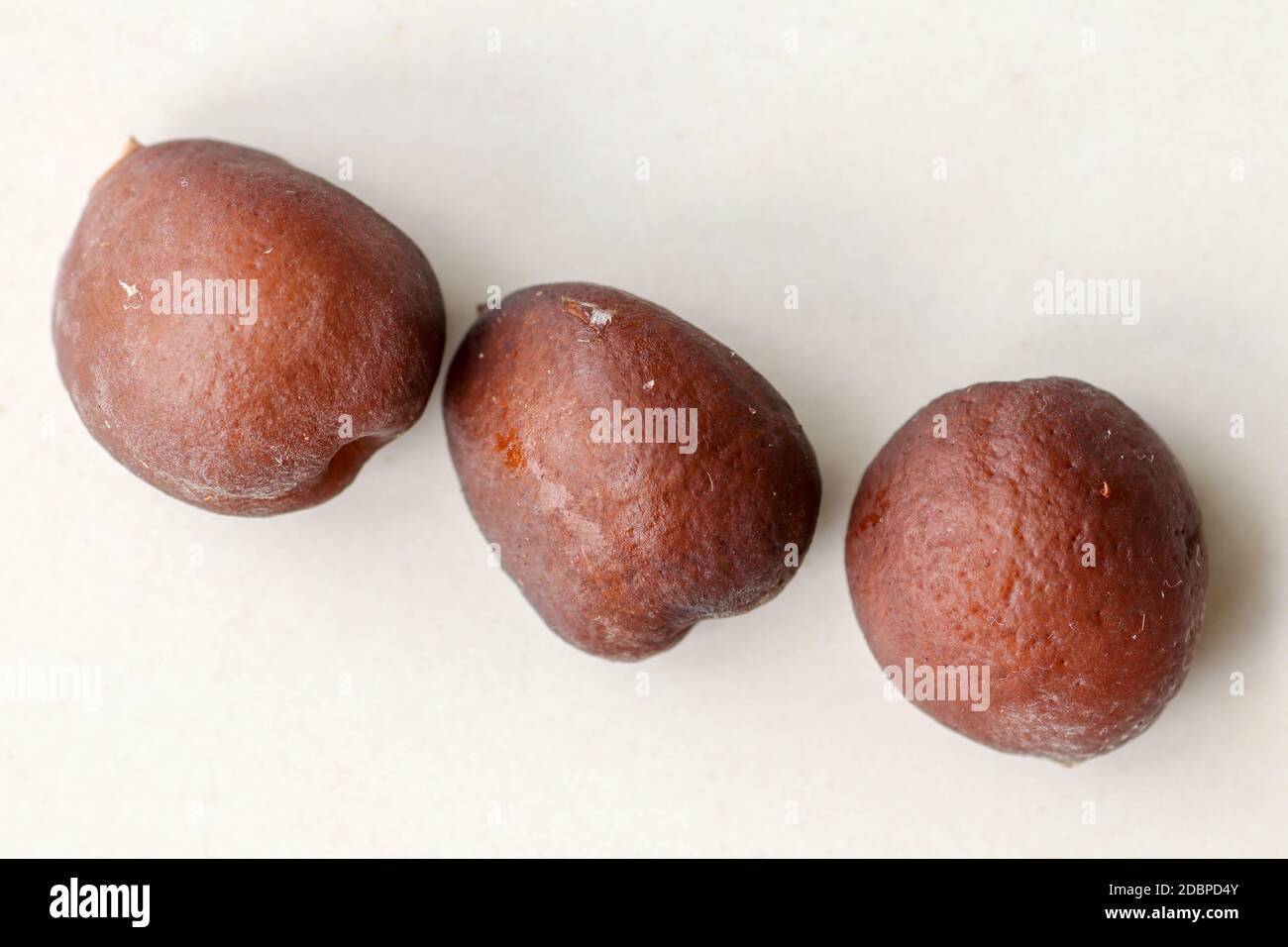 Snake fruit seeds on a white background. Close up of seeds. Salak is a ...