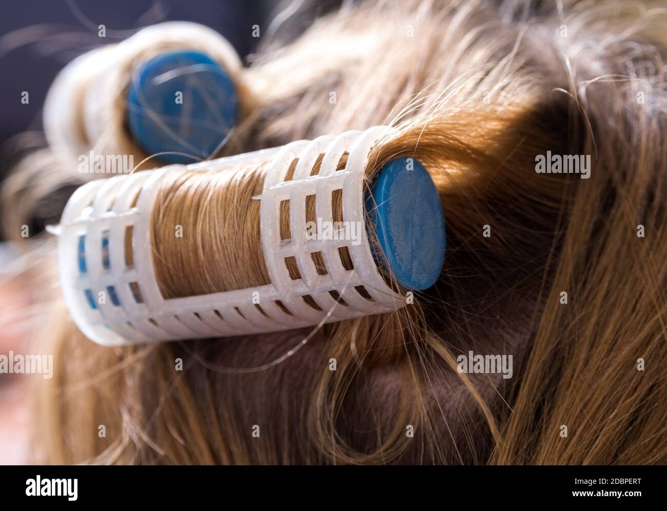 Closeup of the curlers on head Stock Photo - Alamy