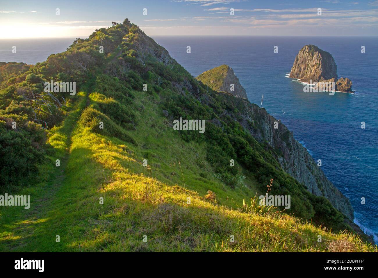 The Cape Brett Track approaching the tip of Cape Brett Stock Photo - Alamy