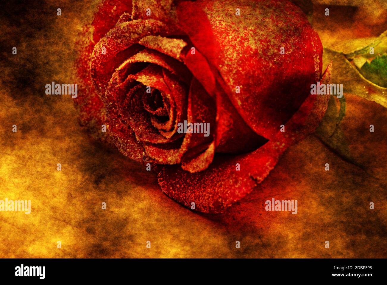 Red rose grunge concept Stock Photo - Alamy