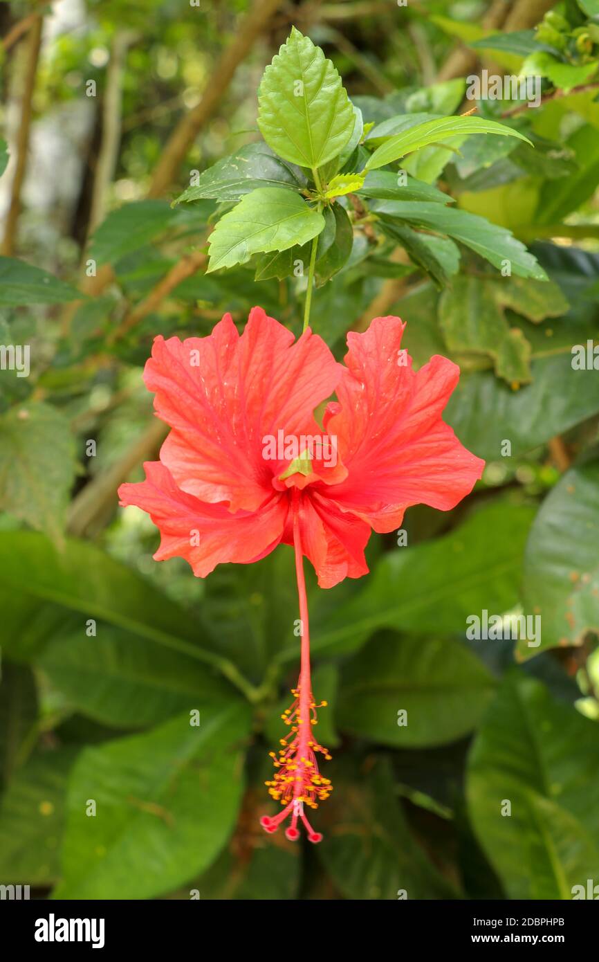 Facing sideways hi-res stock photography and images - Alamy