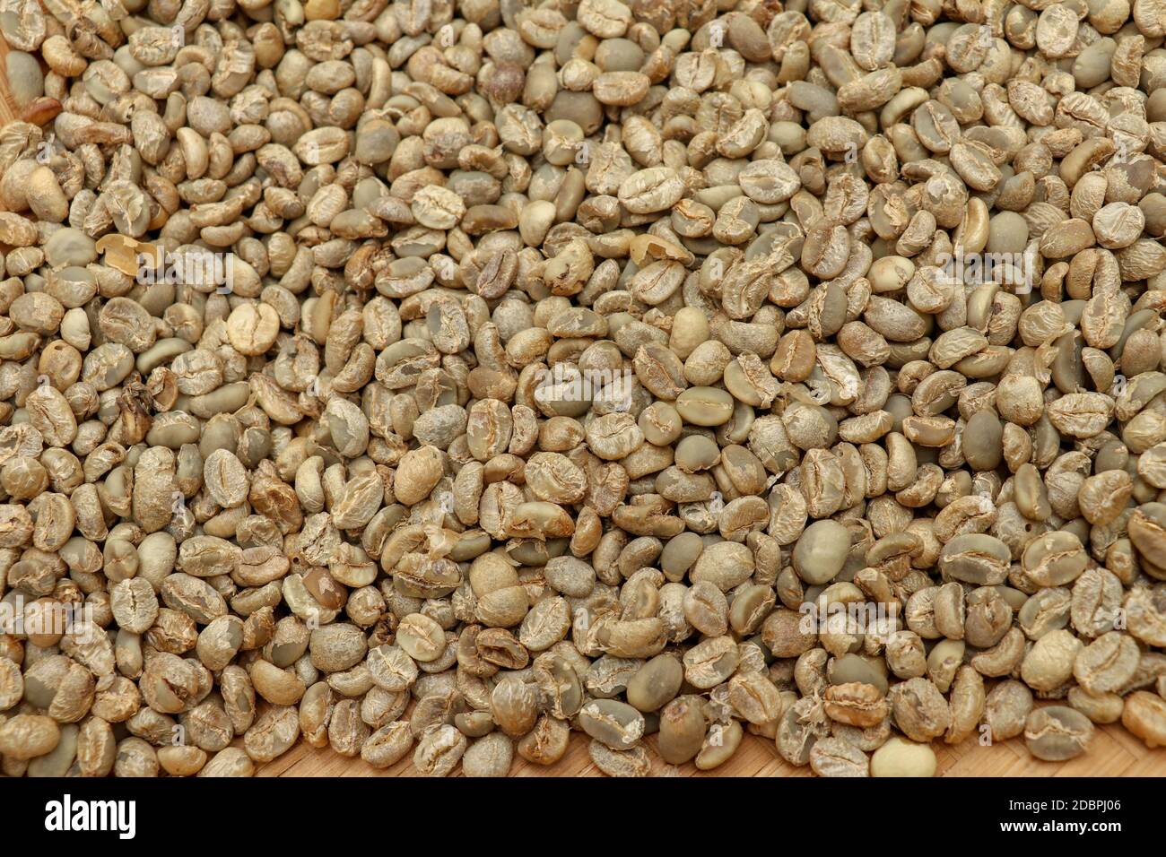 The process of making coffee Arabica beans dry by sunlight. Natural ...