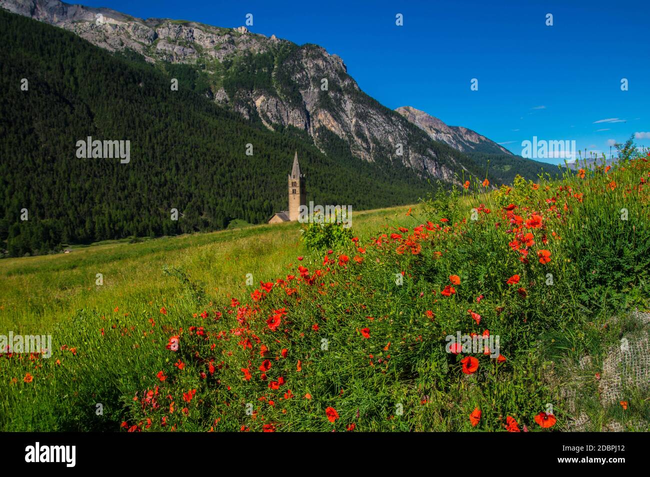 village of queyras regional park Stock Photo - Alamy