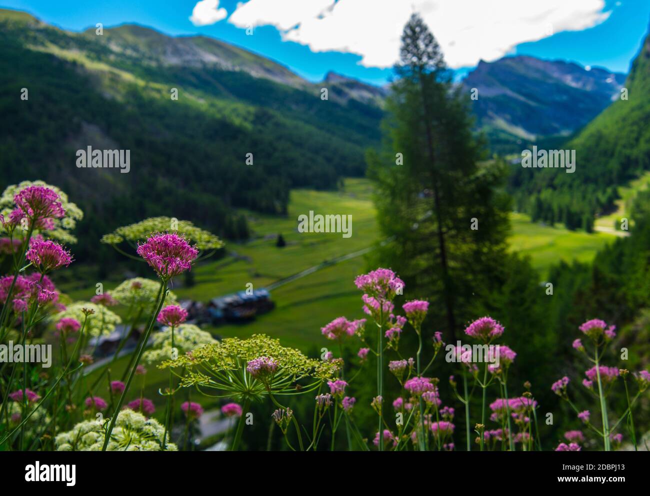 village of queyras regional park Stock Photo - Alamy