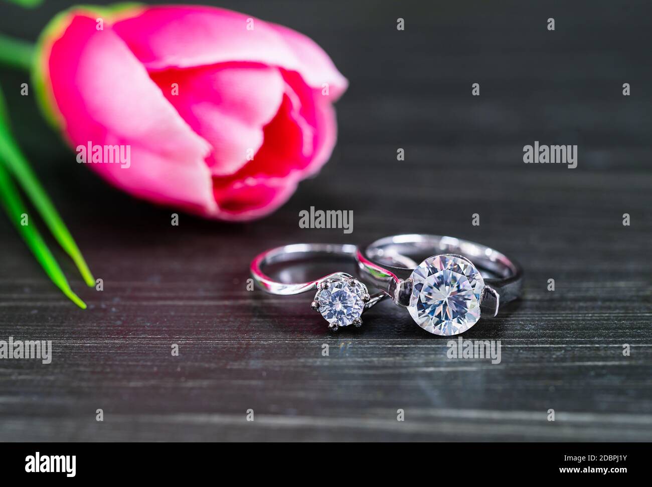 Tulip pink diamond hi-res stock photography and images - Alamy
