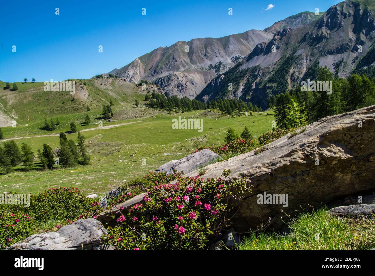 queyras regional park Stock Photo - Alamy