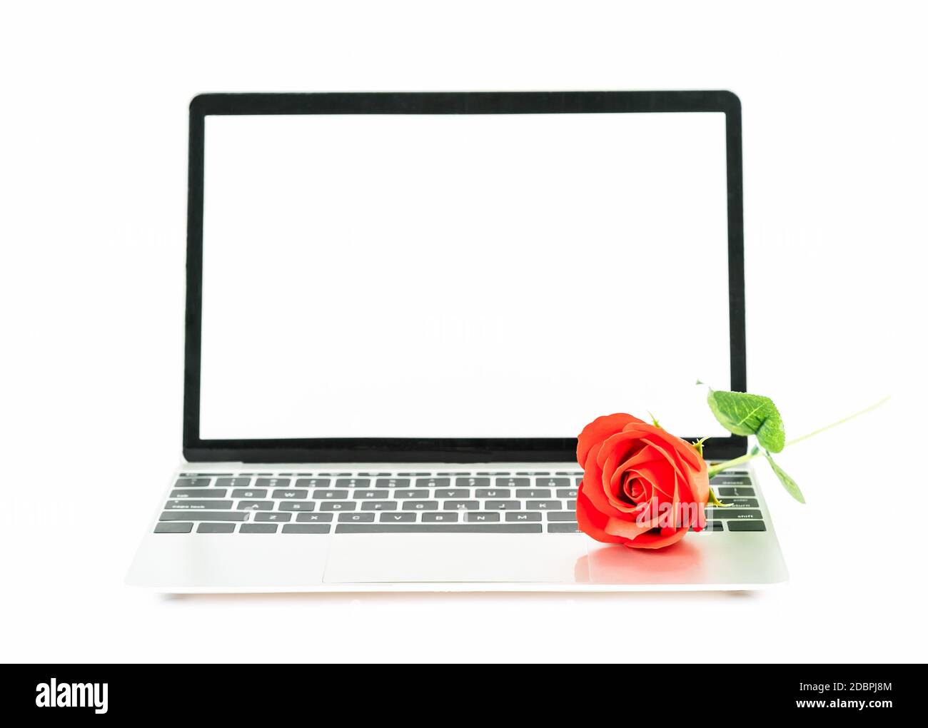 Red rose on the laptop keyboard on white background, Valentine concept ...